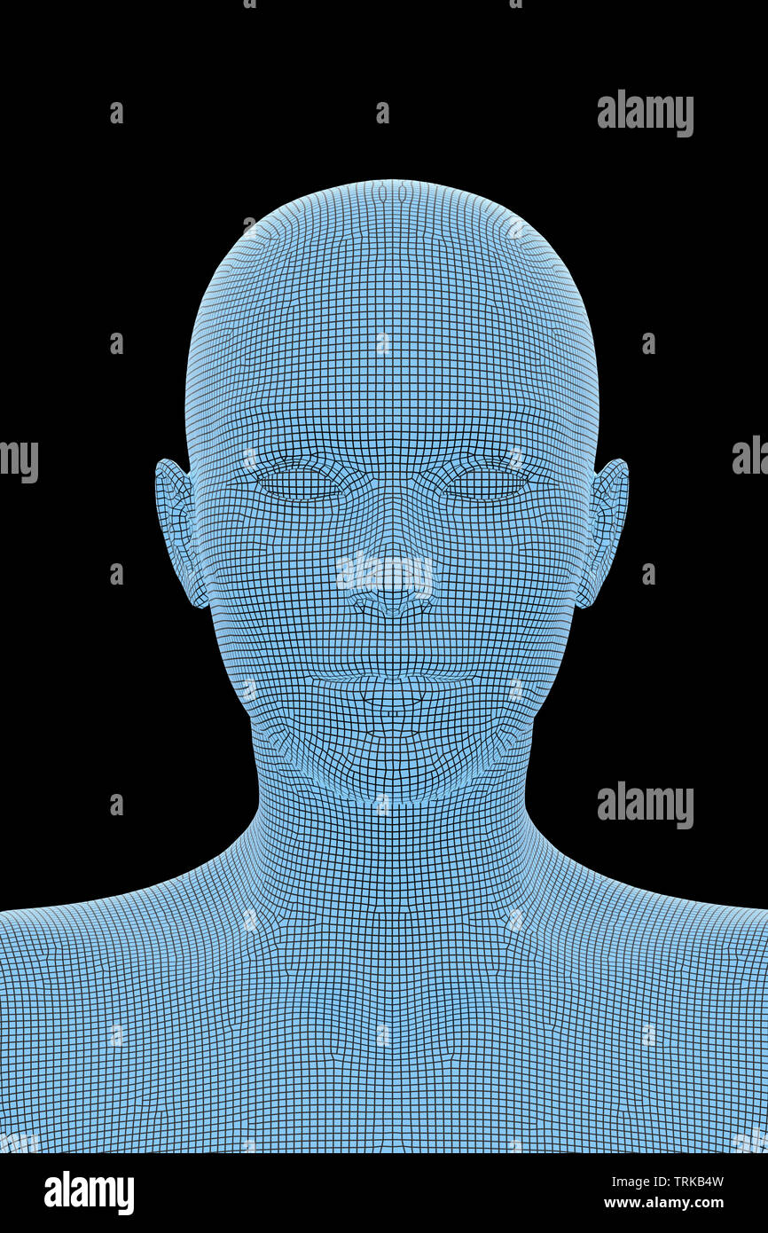 Woman's head. 3D Rendering image of female human body. Wireframe model ...