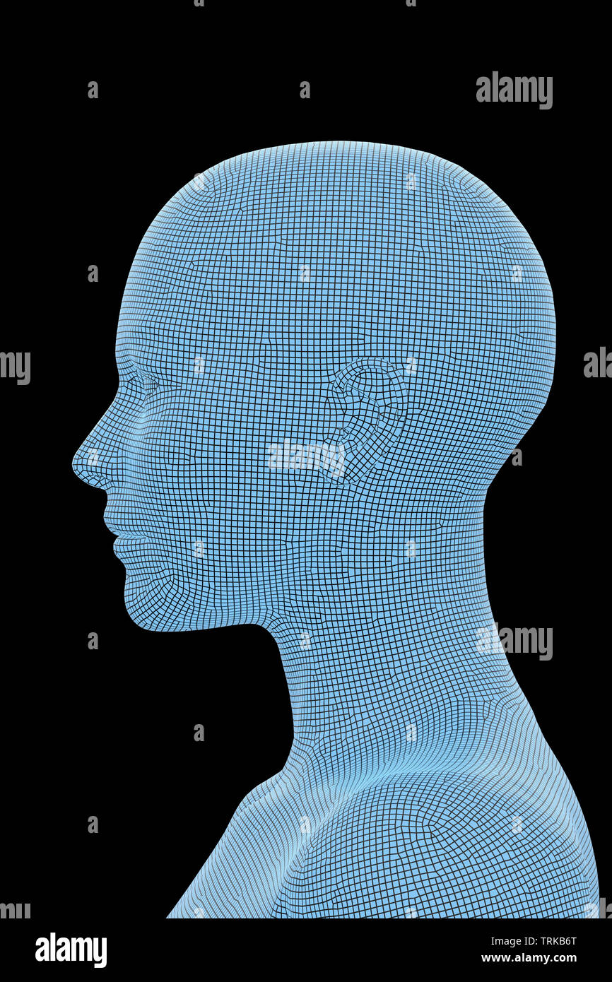 Woman's head. 3D Rendering image of female human body. Wireframe model ...
