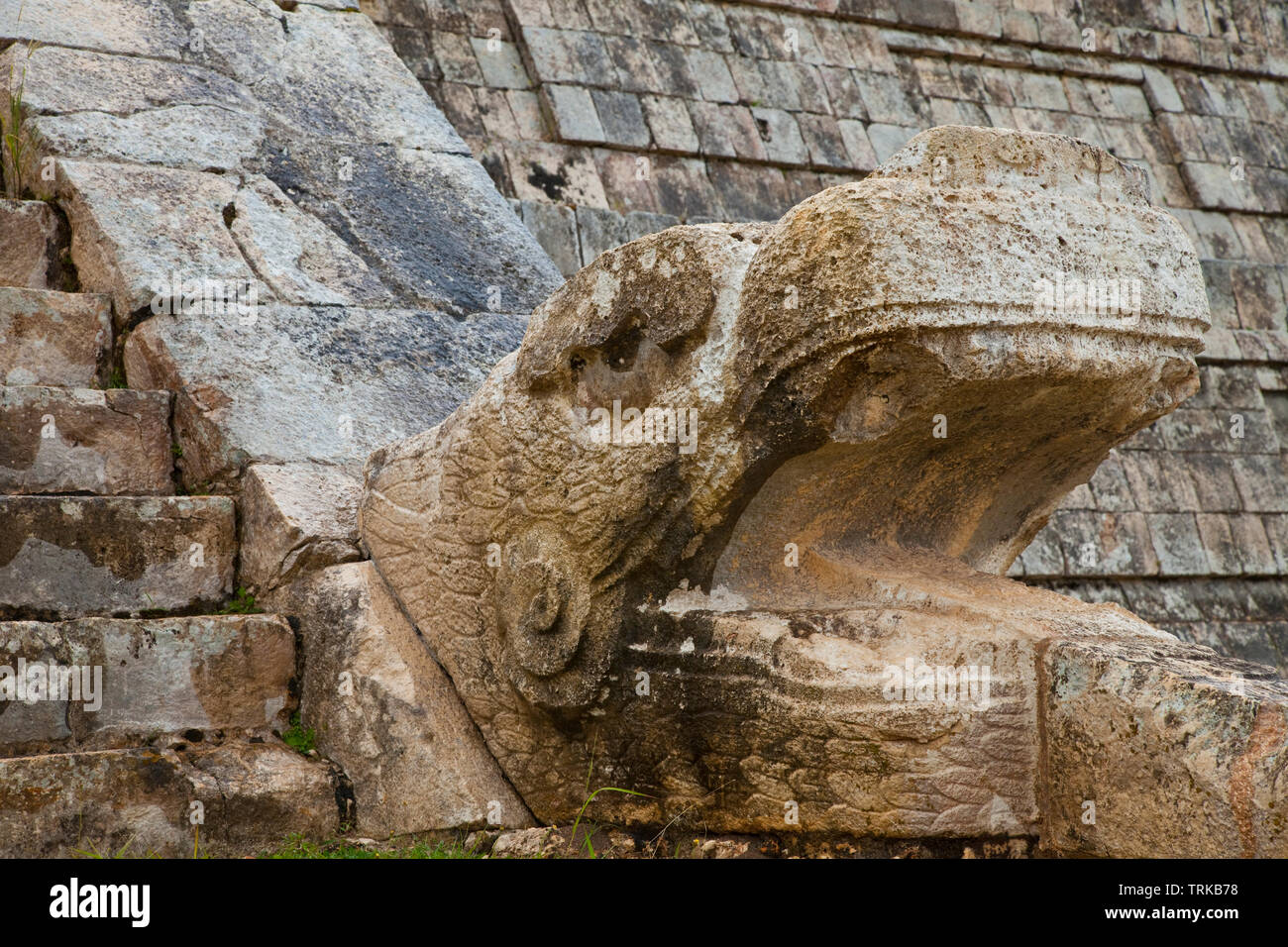 Cabeza Serpiente dios Kukulcán o Quetzalcóatl maya. Pirámide El ...