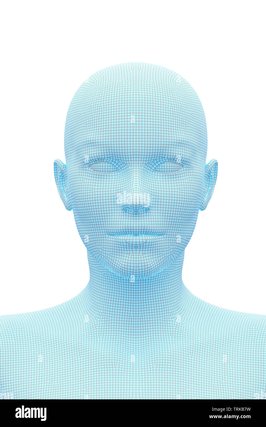 Woman's head. 3D Rendering image of female human body. Wireframe model ...