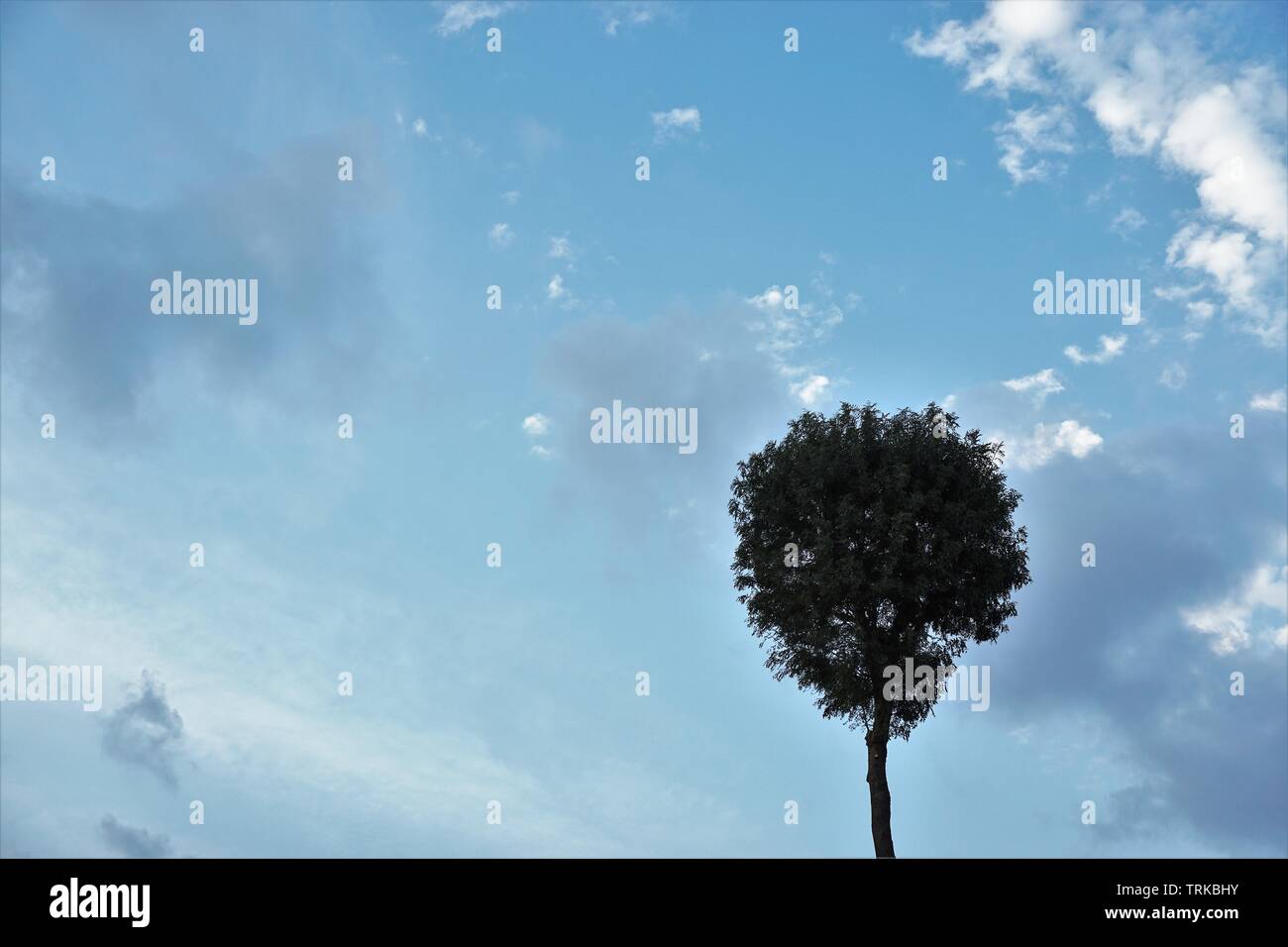 Lonely environment hi-res stock photography and images - Alamy