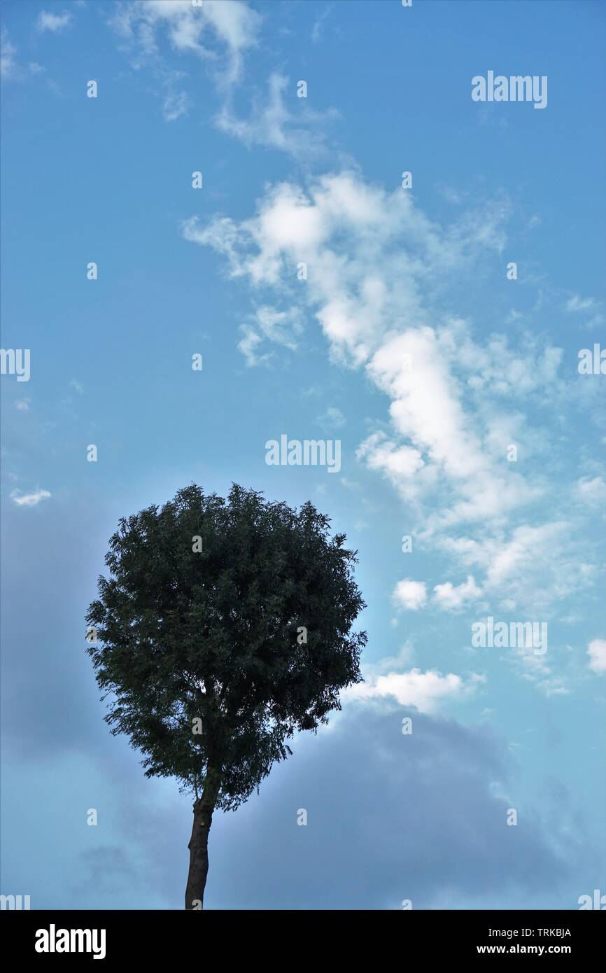 Lonely environment hi-res stock photography and images - Alamy