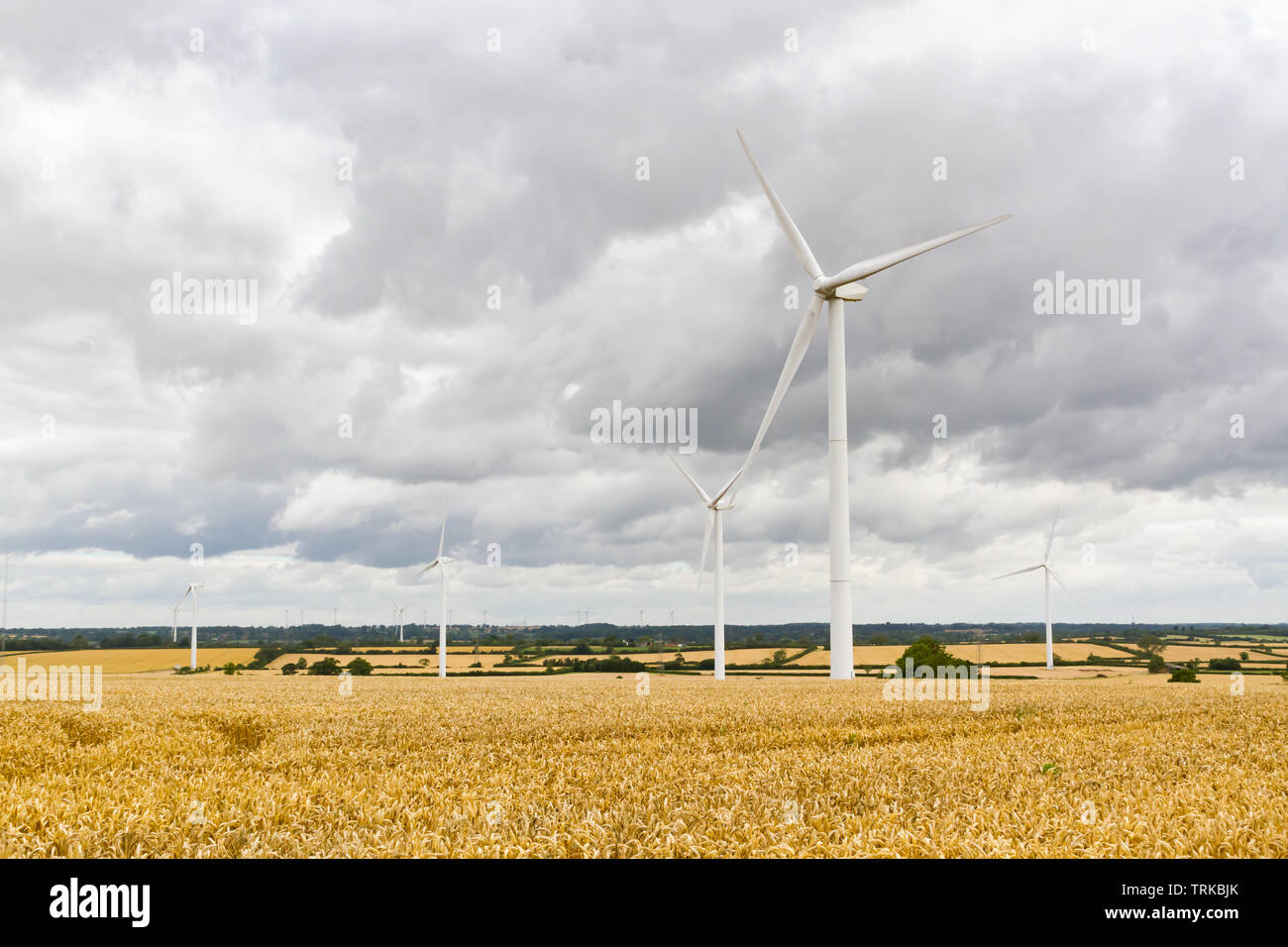 Crick, Northamptonshire, UK: Five wind turbines stand in a field of ...