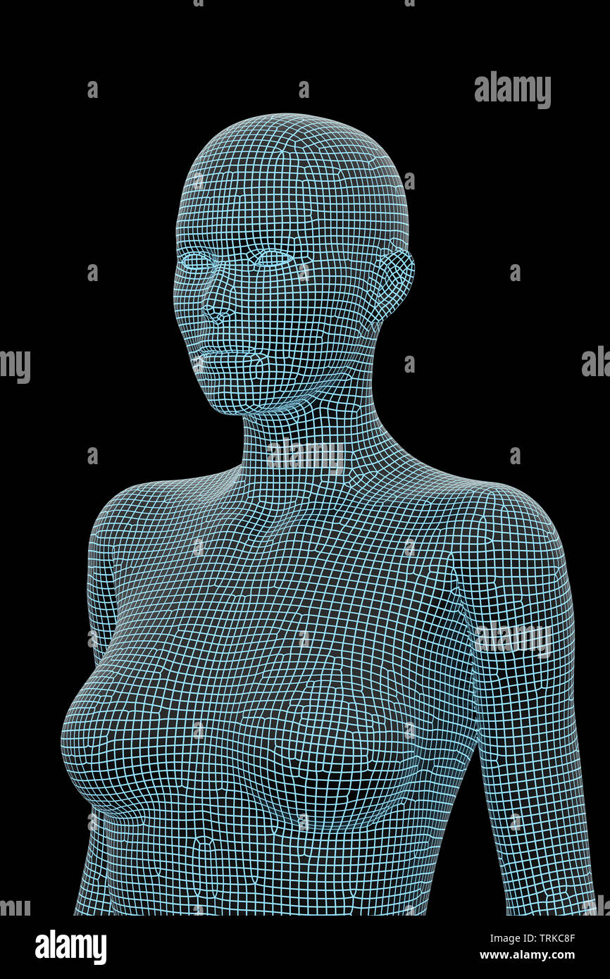 Womans Body 3d Rendering Image Of Female Human Body Wireframe Model