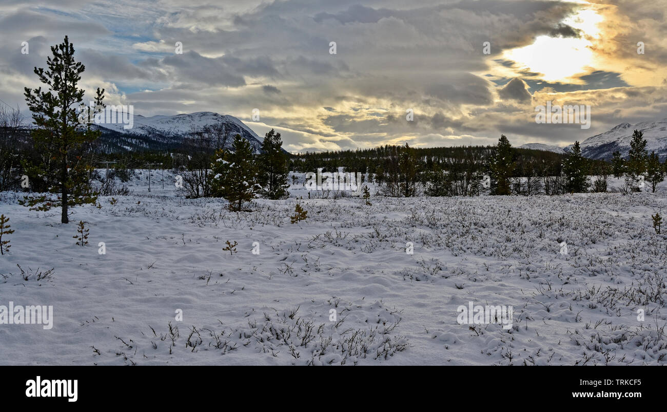 Norway. Winter in Rondane Stock Photo - Alamy