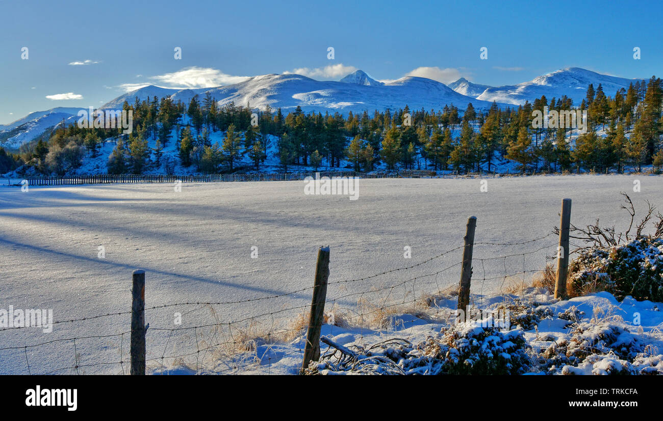 Norway. Winter in Rondane Stock Photo - Alamy