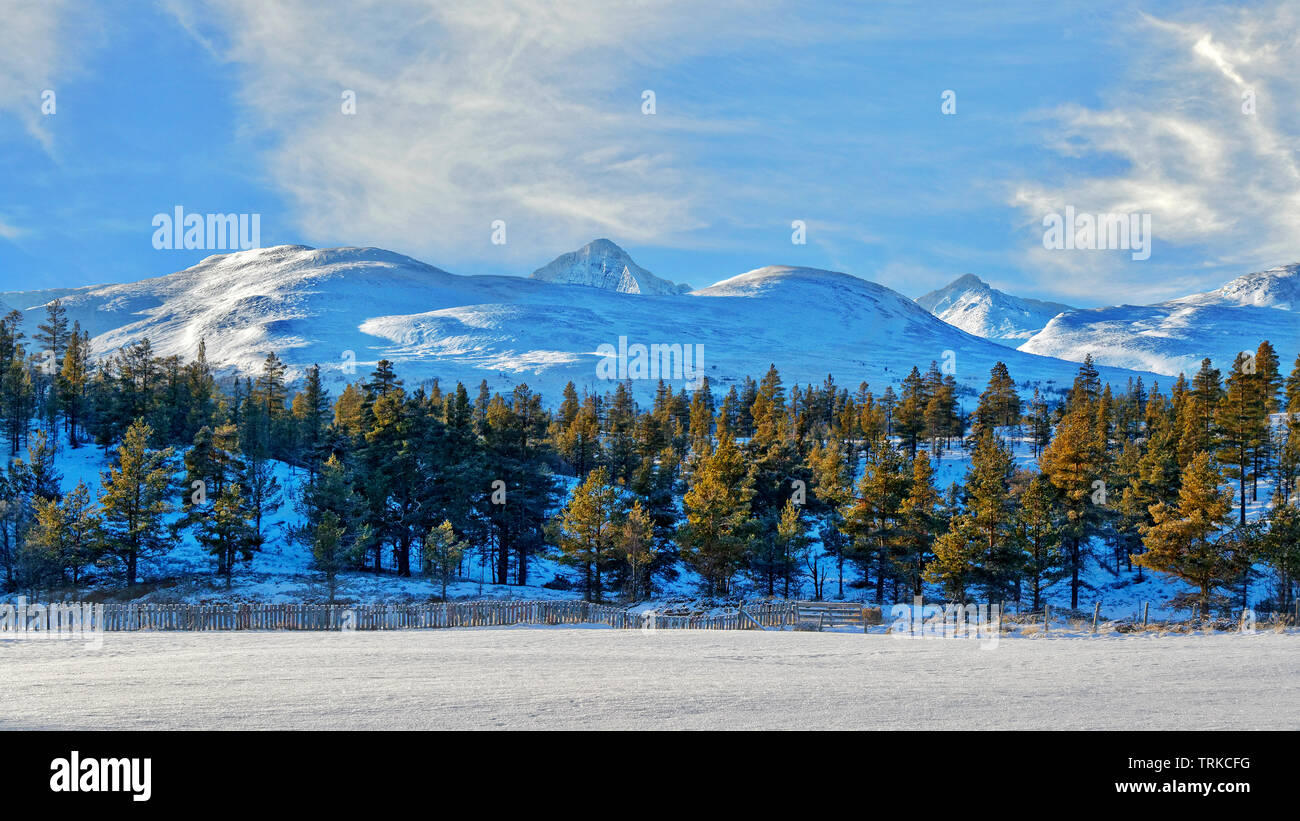 Norway. Winter in Rondane Stock Photo - Alamy