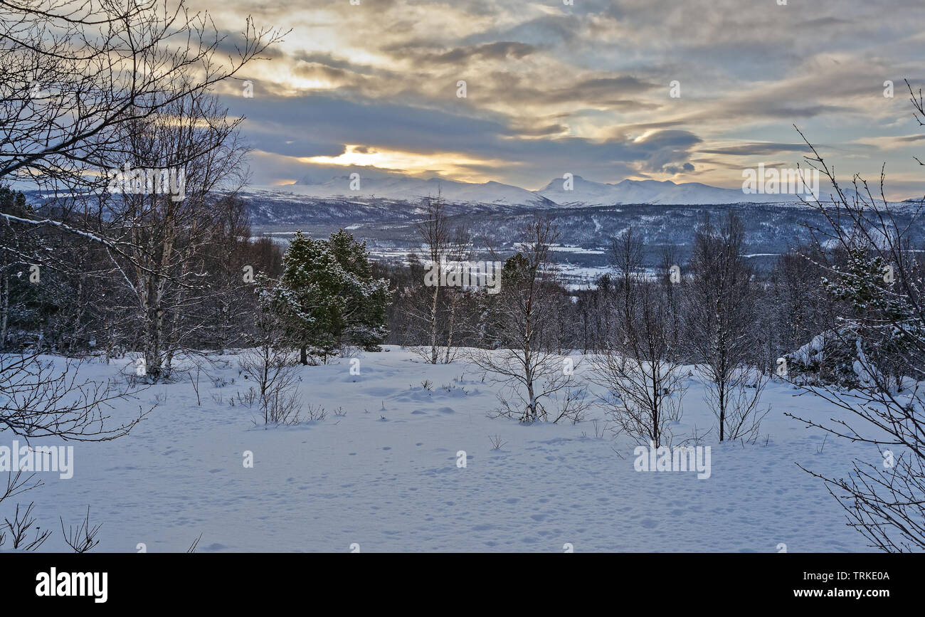 Norway. Winter in Folldal and Rondane Stock Photo - Alamy