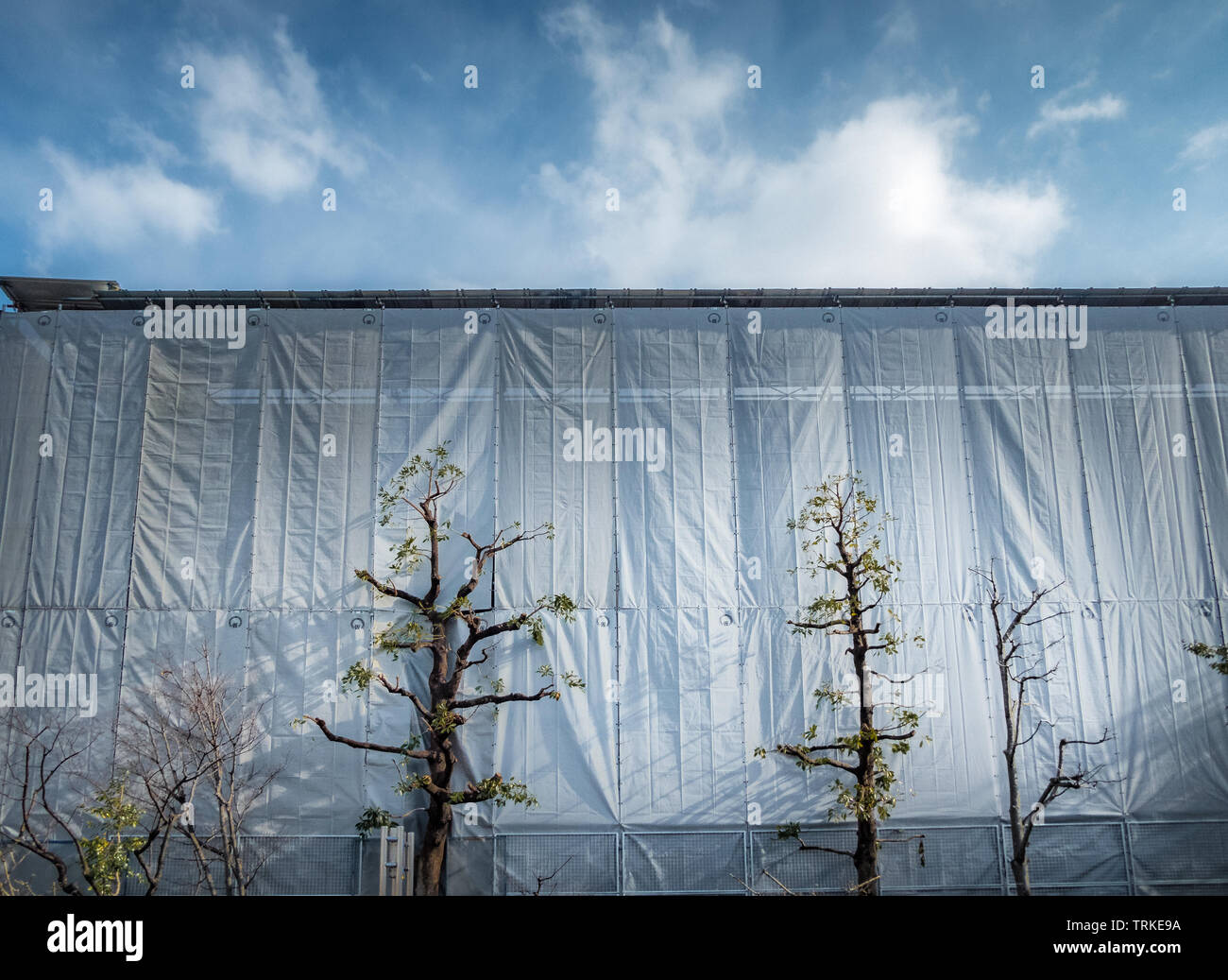 Building under construction wrapped in plastic sheeting, with trees ...