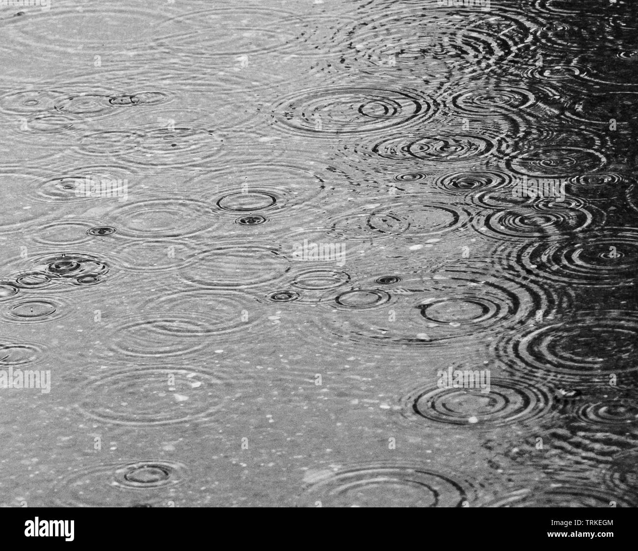 Rain on a lake and puddles Stock Photo - Alamy