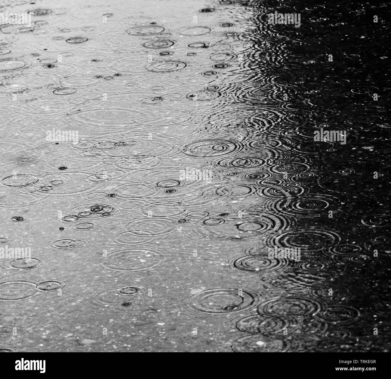 Puddles of rainwater Black and White Stock Photos & Images - Alamy