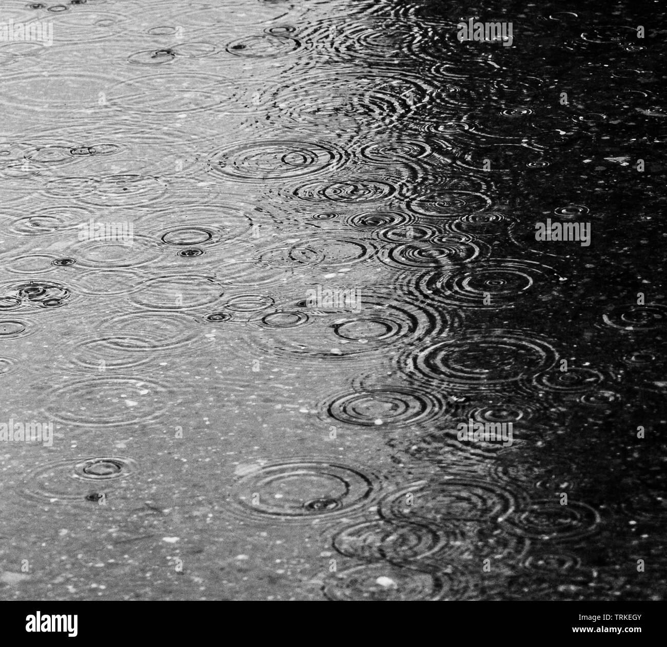 Rain on a lake and puddles Stock Photo - Alamy