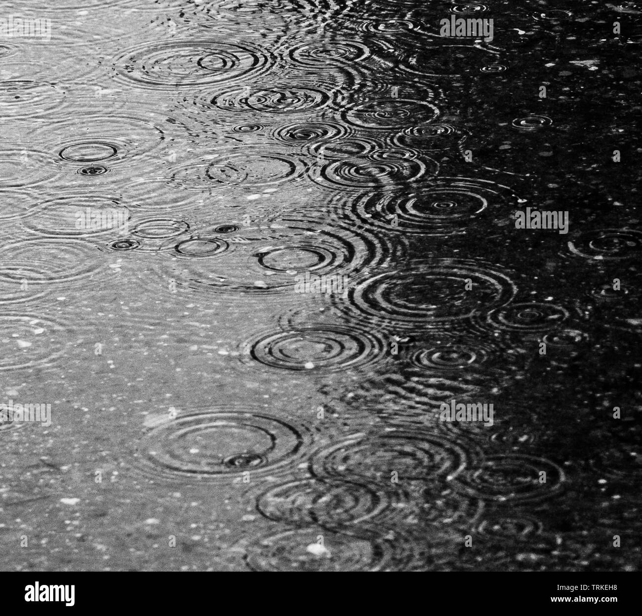 Puddles of rainwater Black and White Stock Photos & Images - Alamy