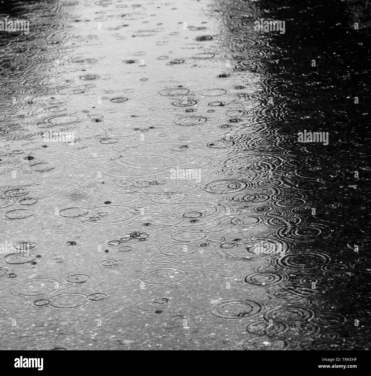 Puddles of rainwater Black and White Stock Photos & Images - Alamy