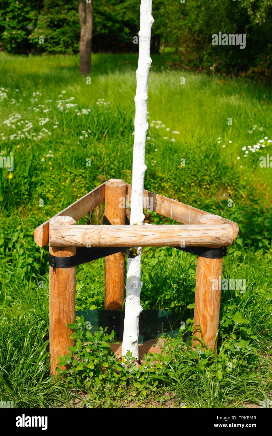 Tree shelter made of wood on a meadow, Germany Stock Photo - Alamy