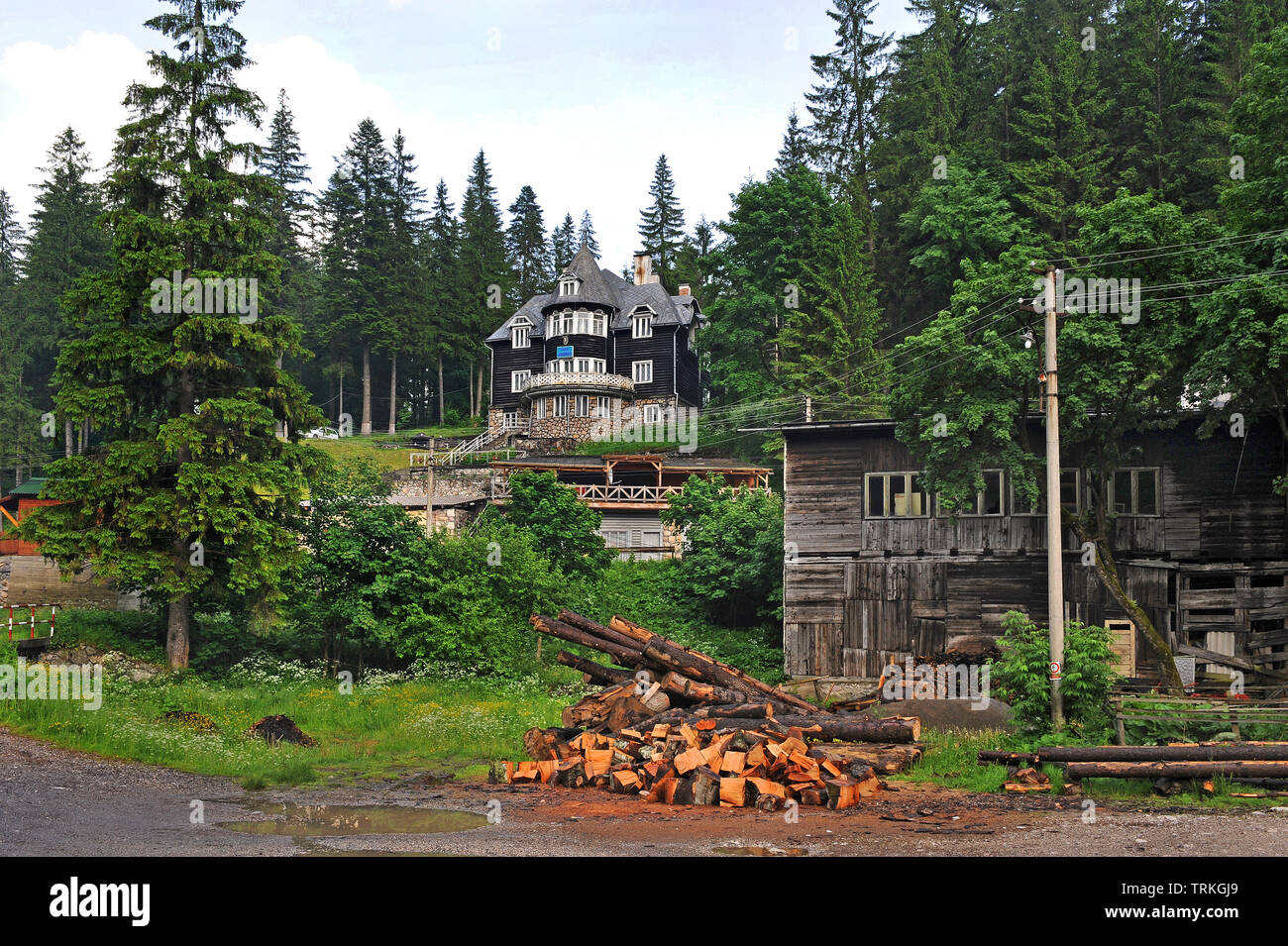 Lacul Rosu / Romania: Huse in Lacul Rosu, Carpathian Mountains, Romania ...