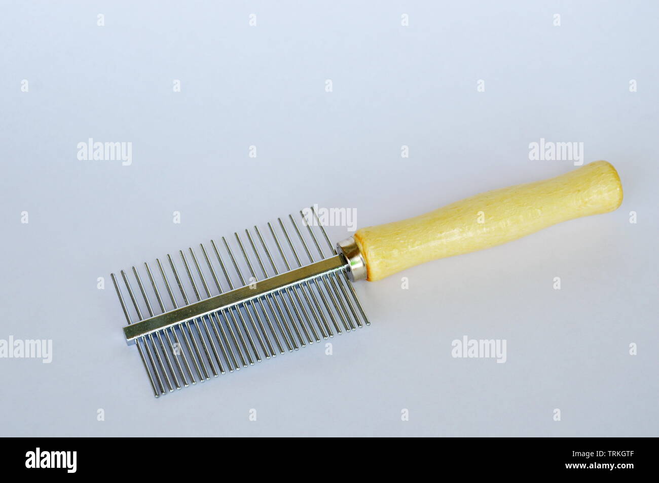 comb with teeth away and fine for dog and cat on white background Stock ...