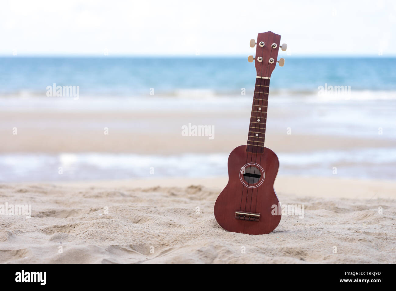 guitar ukulele put on the sand beach. Sea view during daytime with blue ...