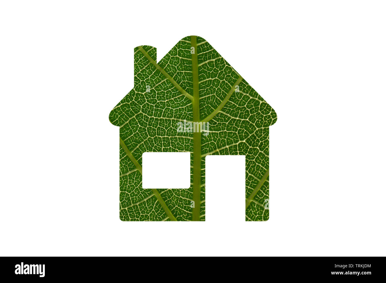 Home leaf vector house hi-res stock photography and images - Alamy