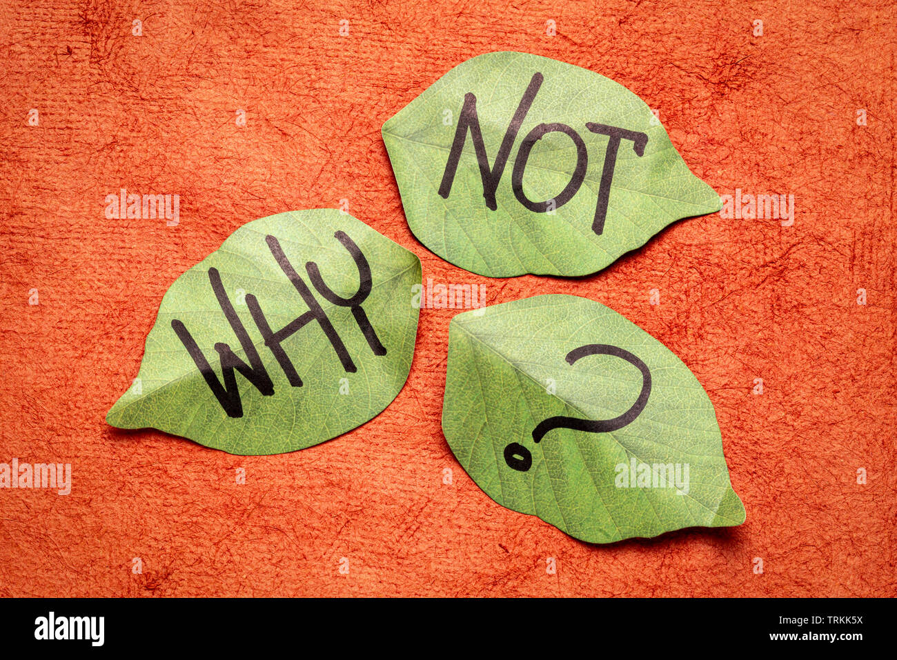 Why not question on green leaf shaped sticky notes against orange ...