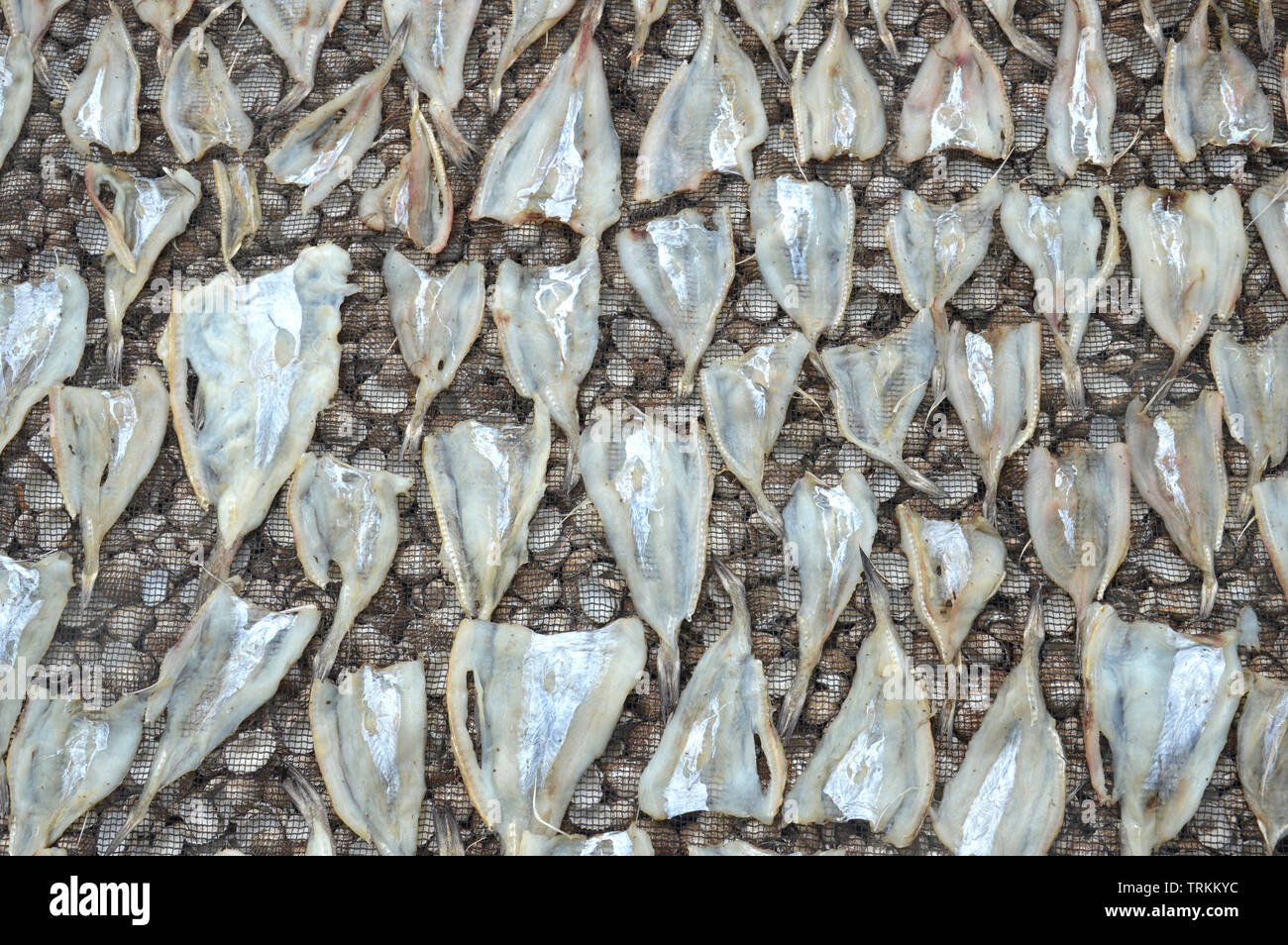 patterns of thin dried fish background Stock Photo - Alamy