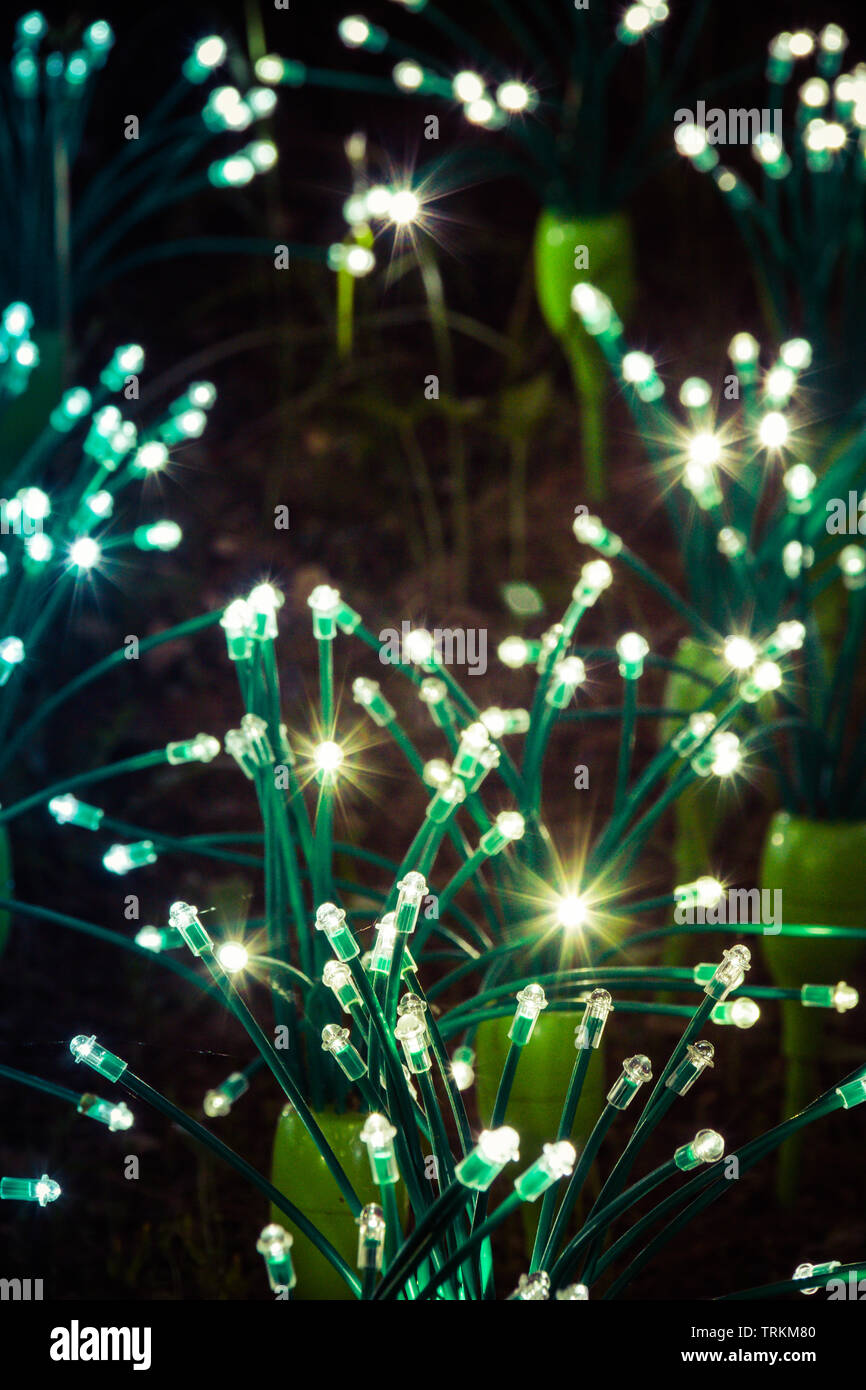 Led artificial light plants hi-res stock photography and images - Alamy