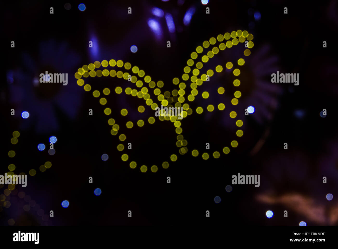 A butterfly formed by LED lights and the Bokeh effect in various colors ...