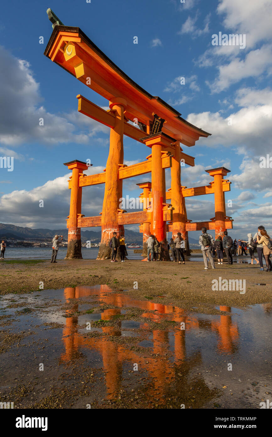 Floating Torii gate at low tide, Miyajima, Japan Stock Photo - Alamy