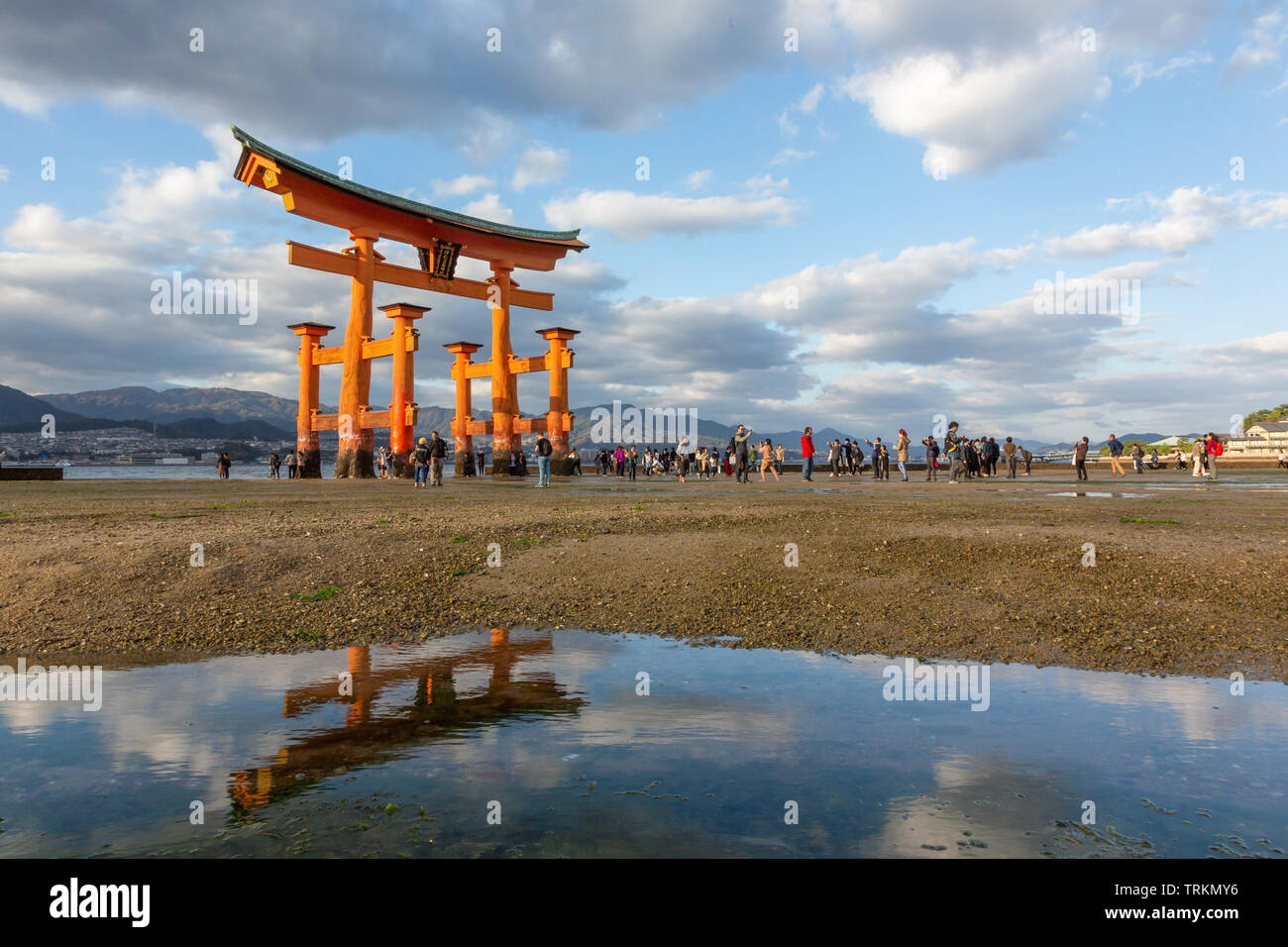 Floating Torii gate at low tide, Miyajima, Japan Stock Photo - Alamy