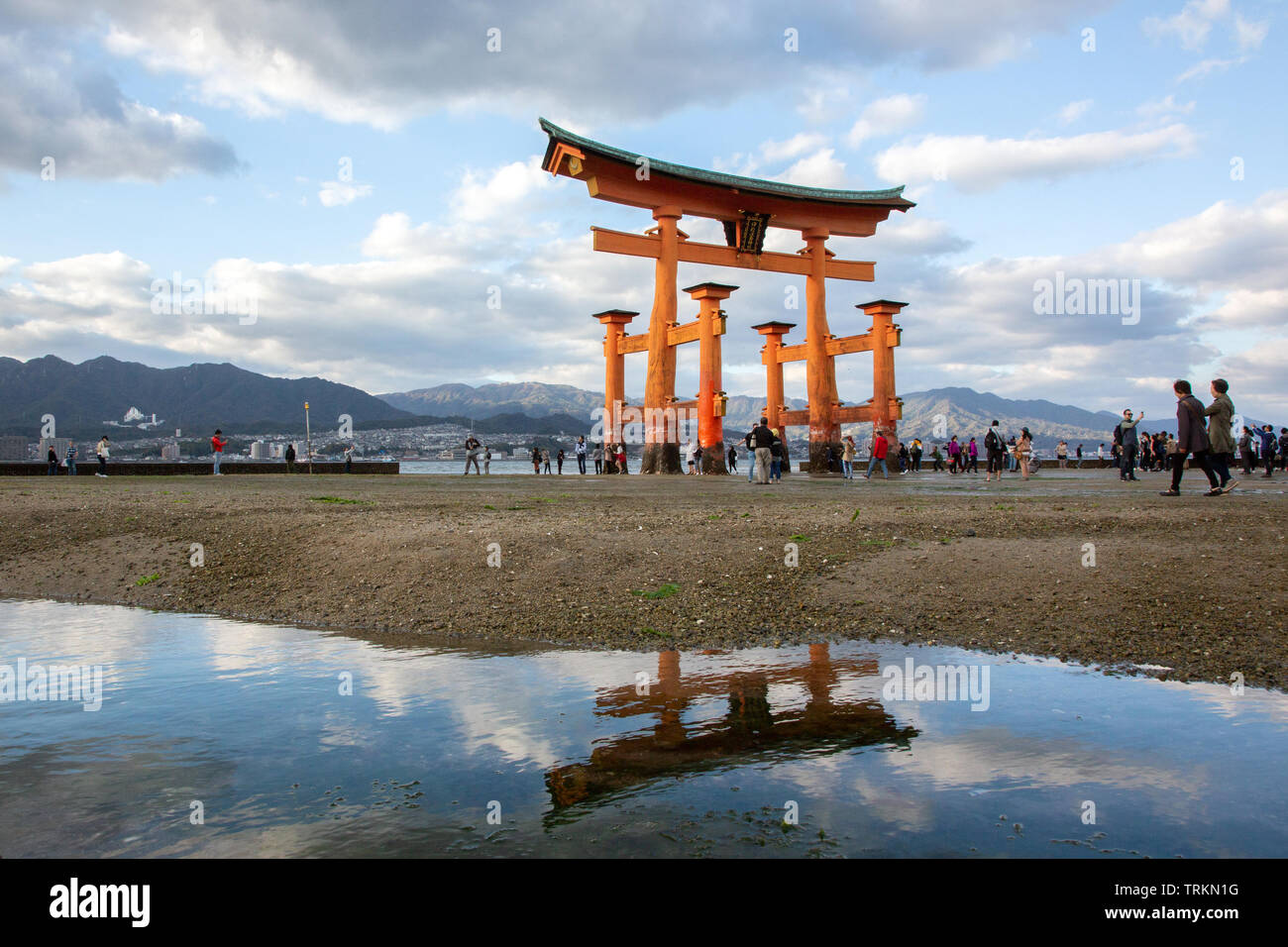 Floating Torii gate at low tide, Miyajima, Japan Stock Photo - Alamy