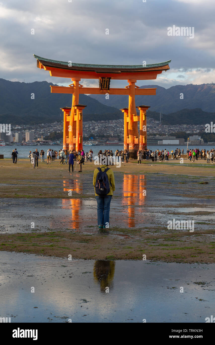 Floating Torii gate at low tide, Miyajima, Japan Stock Photo - Alamy