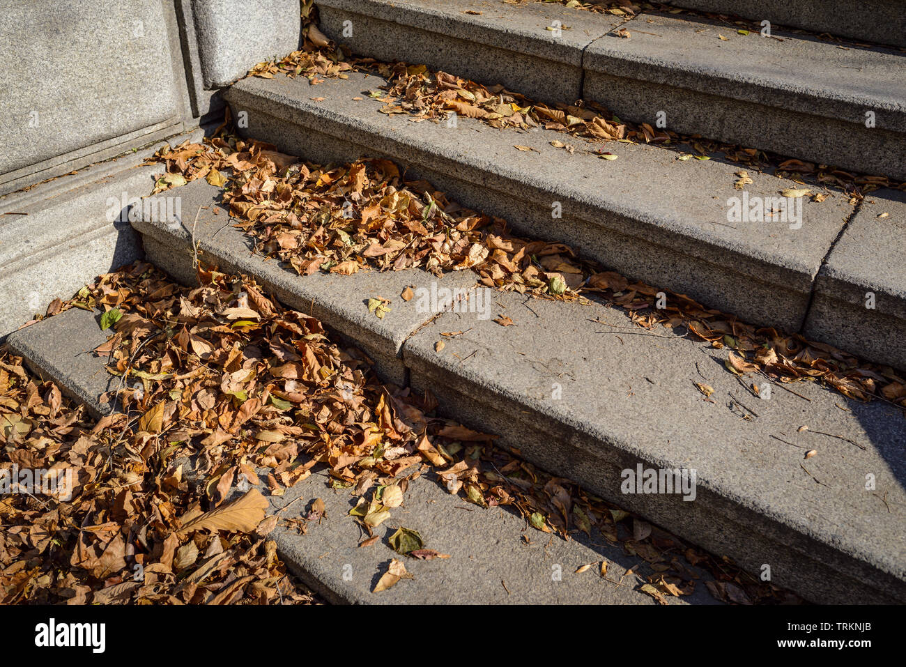 Withered autumn leaves leaves on the steps Stock Photo - Alamy