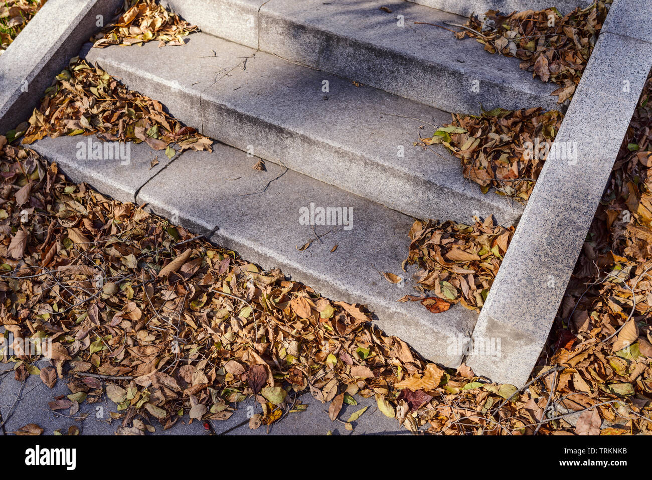Withered autumn leaves leaves on the steps Stock Photo - Alamy