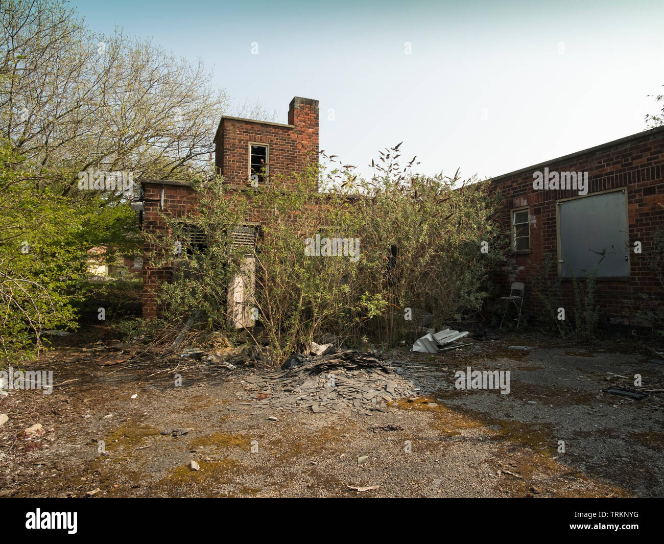 Abandoned overgrown factory building Stock Photo - Alamy