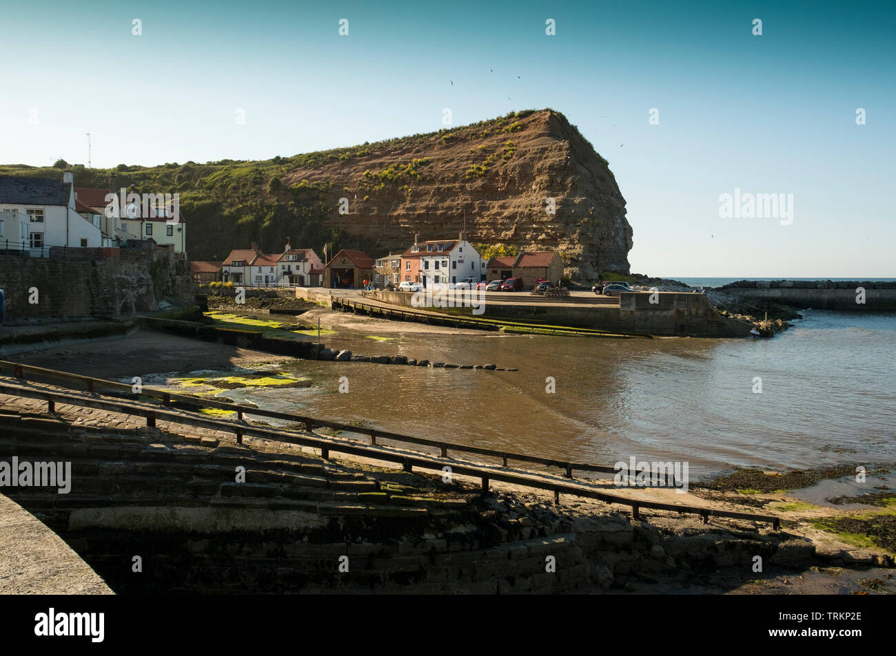 Rocky cliff headland Yorkshire coast UK Stock Photo - Alamy