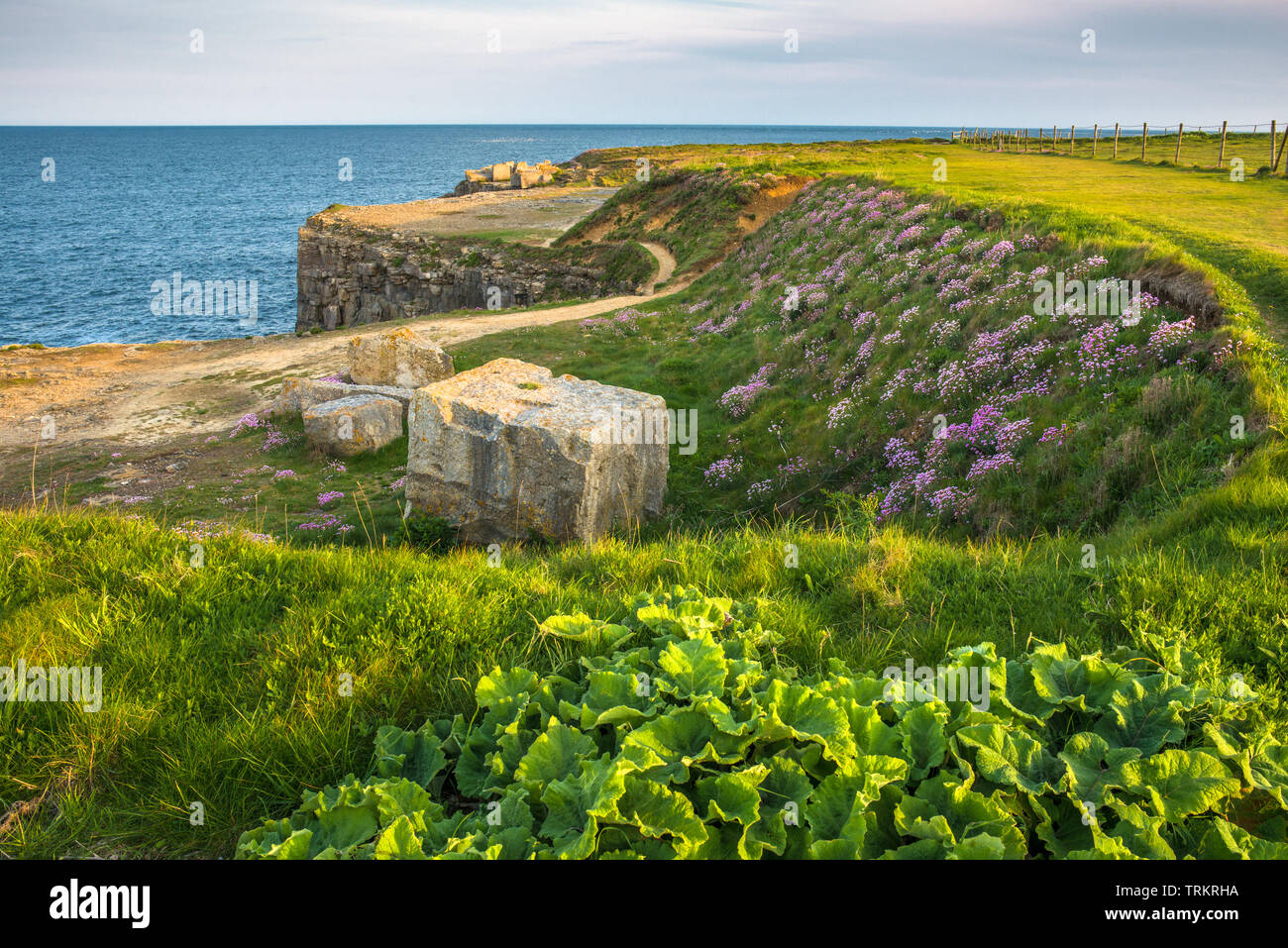Blocks of stone from a disused quarry at Portland Bill on the Isle of ...