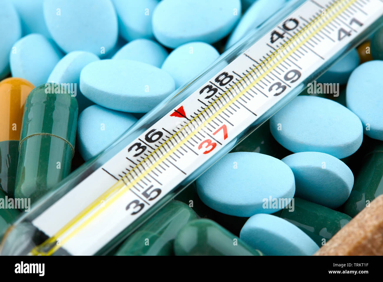 Temperature thermometer celsius hi-res stock photography and images - Alamy