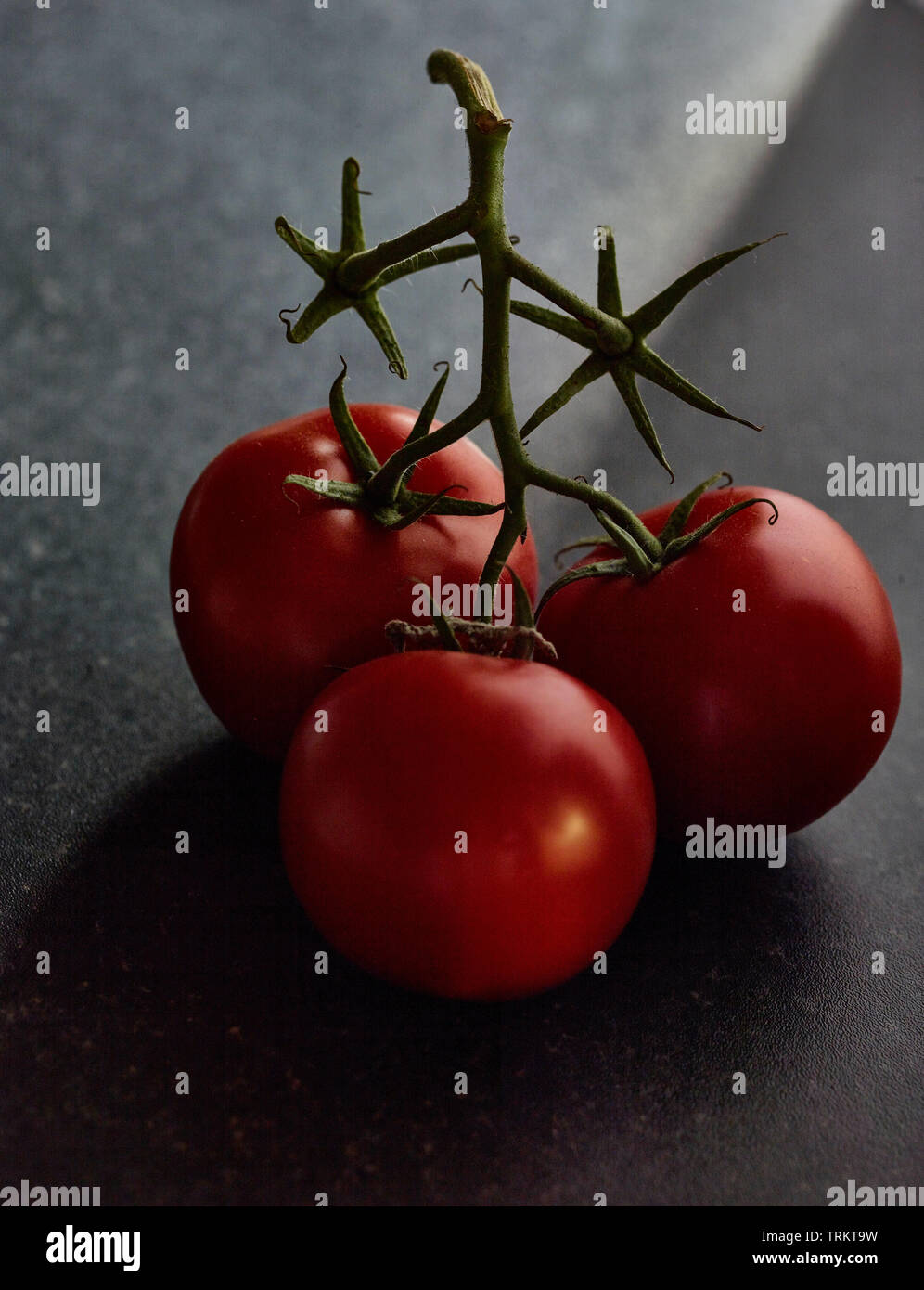 Three red tomatoes on vine, food still-life against dark background ...