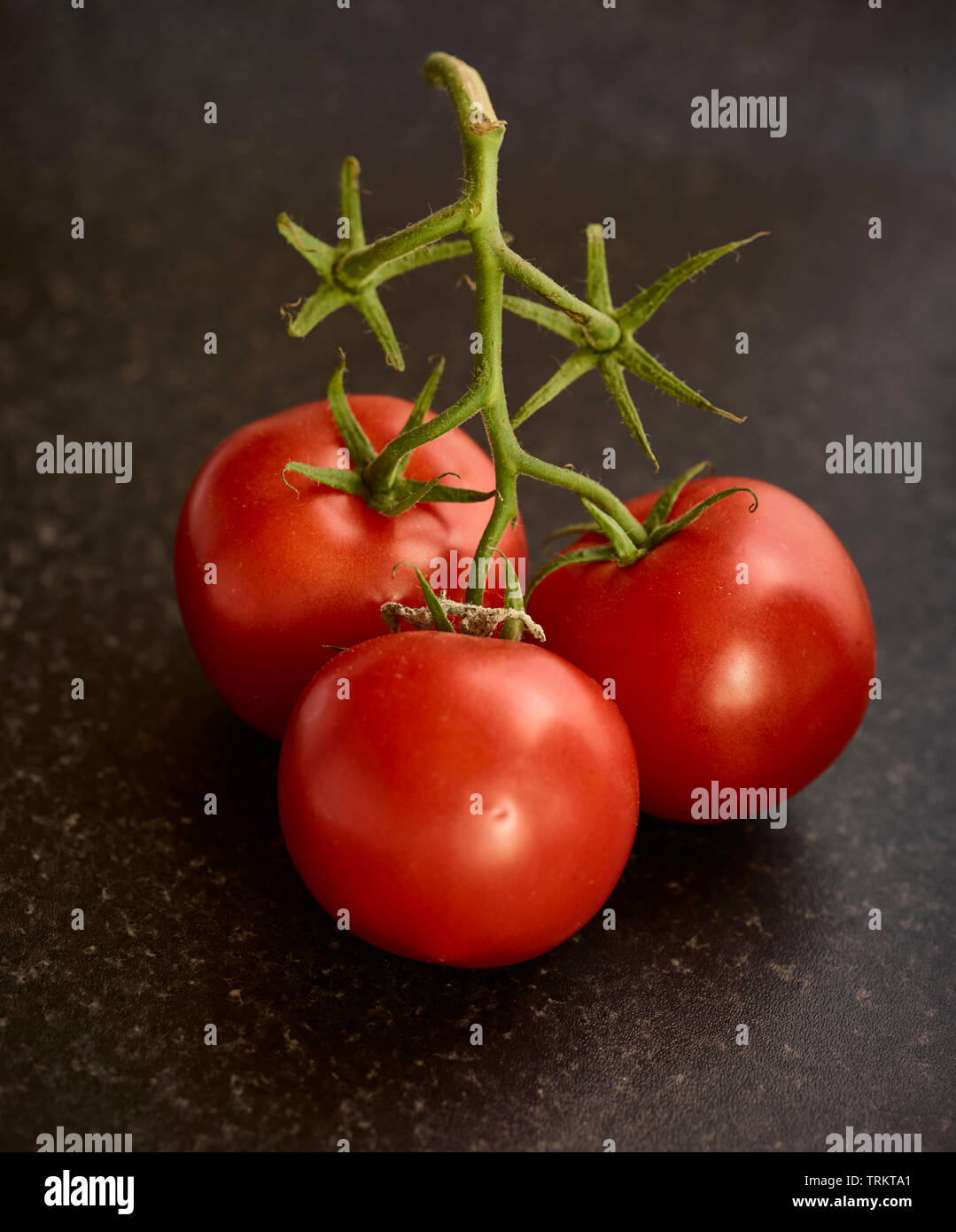 Three red tomatoes on vine, food still-life against dark background ...