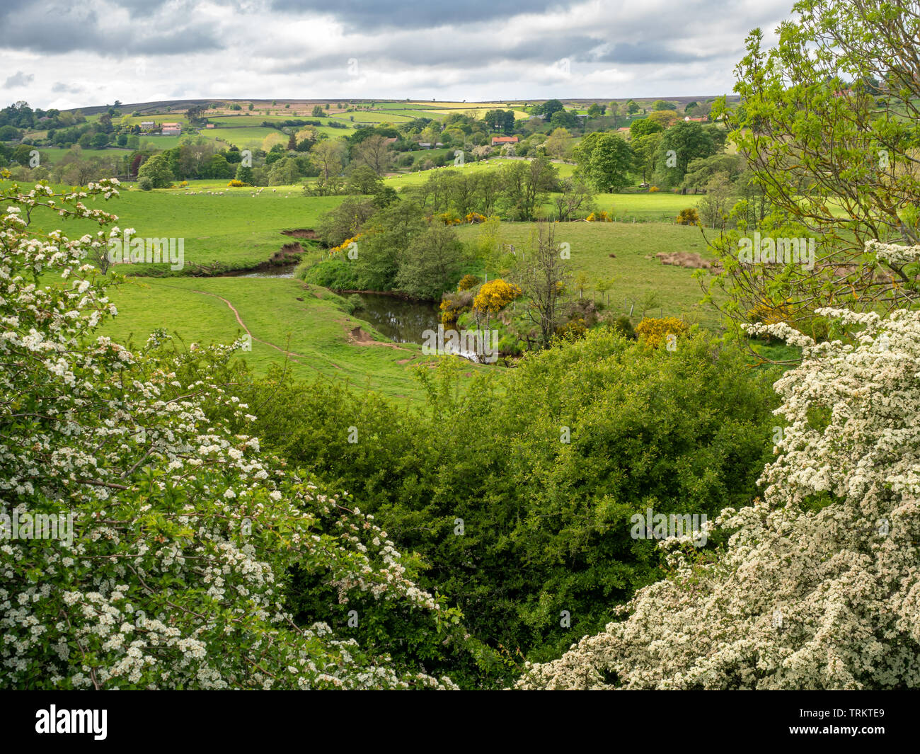 Countryside water river yorkshire hi-res stock photography and images ...