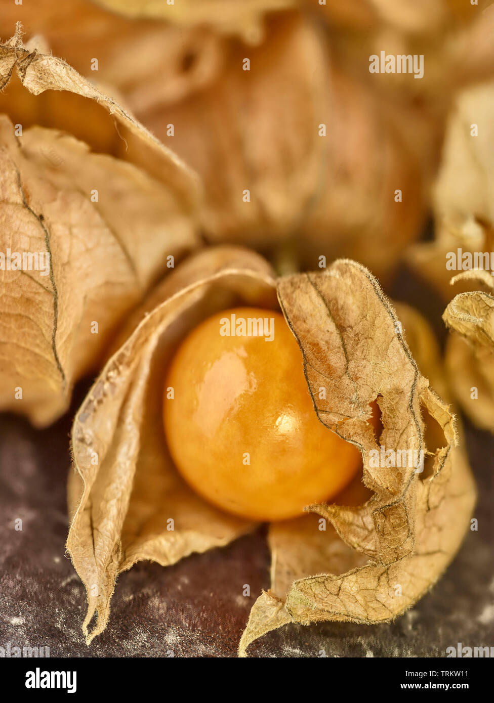 Single Cape Gooseberry food close-up photograph Stock Photo - Alamy