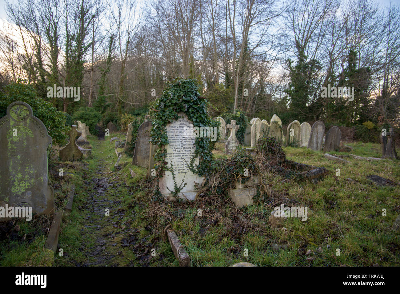 The Graves at Arnos Vale Cemetery, Bristol Stock Photo - Alamy