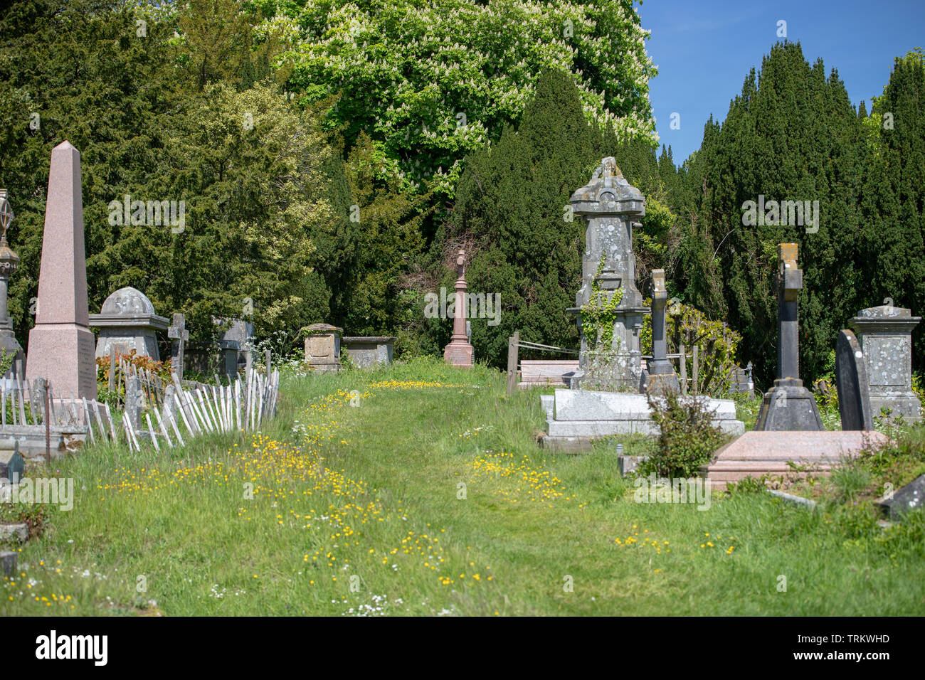 The Graves and Graveyard of Lansdown Cemetery in Bath, Avon Stock Photo ...