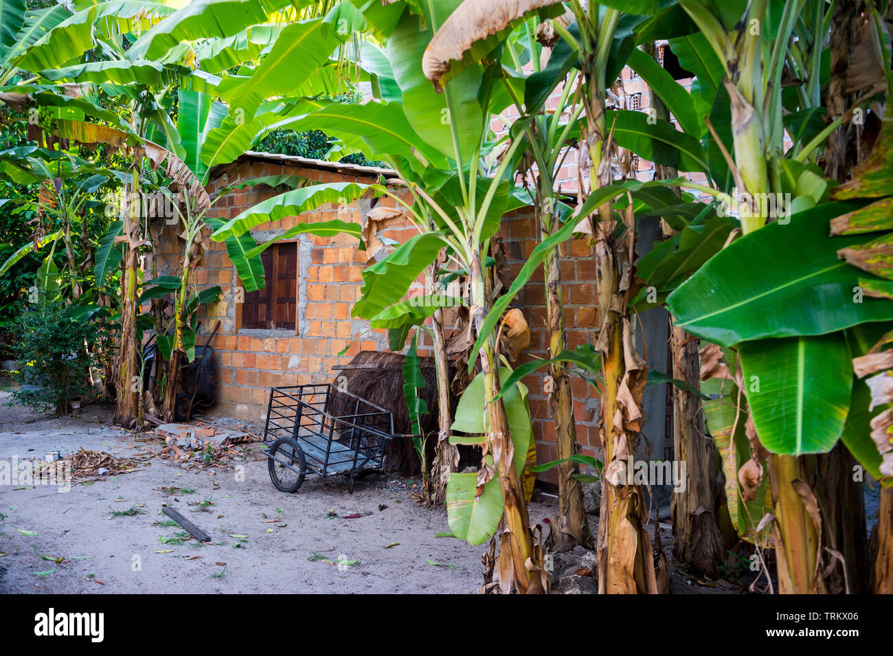 Brazil poverty countryside hi-res stock photography and images - Alamy