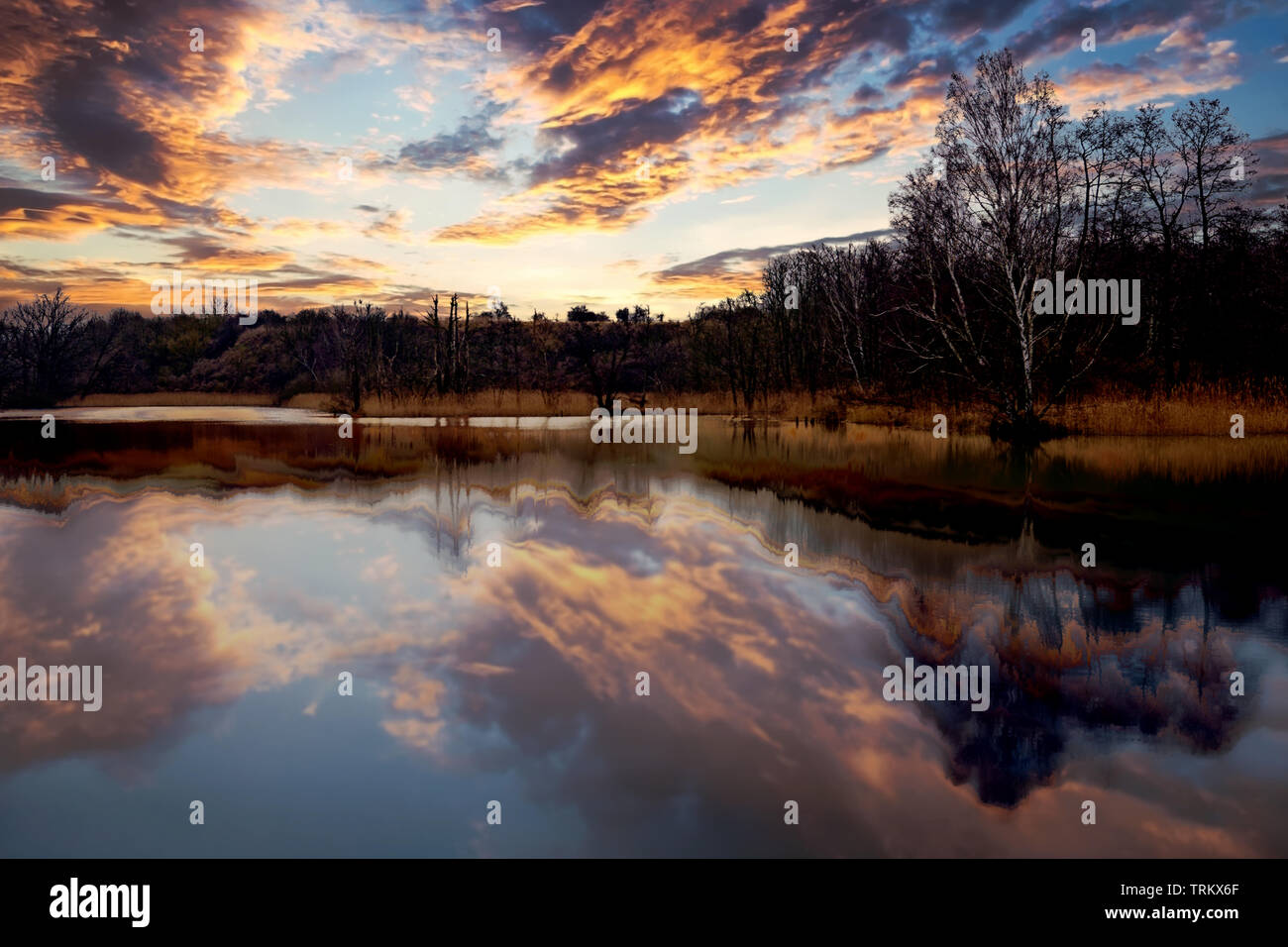 beautiful panoramic view of lake with reflection of trees in the water ...