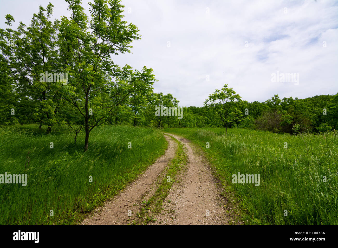 Dirt road through the Midwest countryside. Serena, Illinois, USA Stock ...