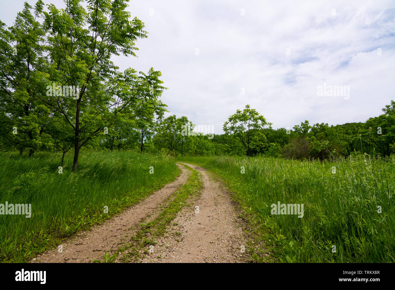 Serena illinois hi-res stock photography and images - Alamy