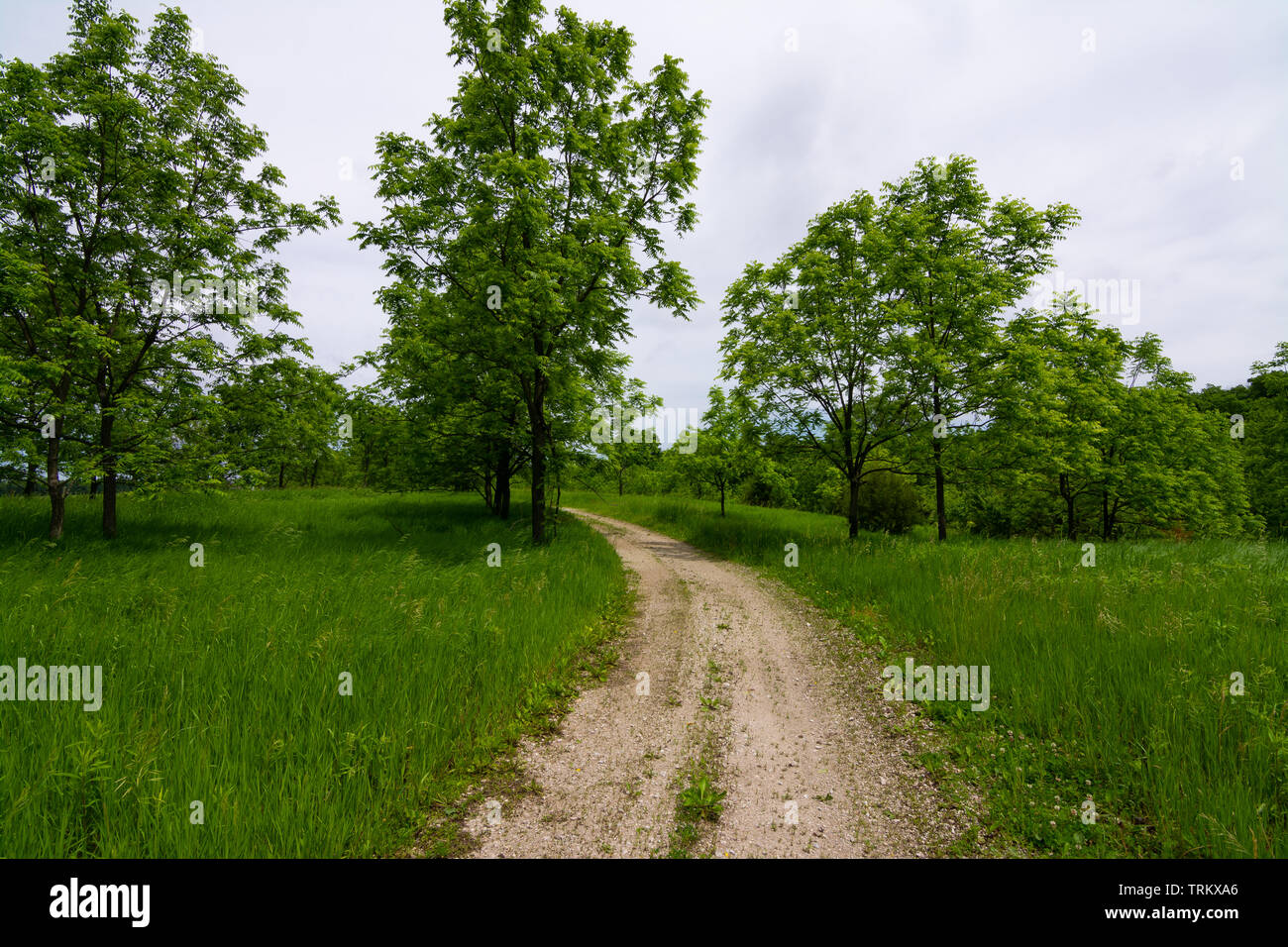 Serena illinois hi-res stock photography and images - Alamy