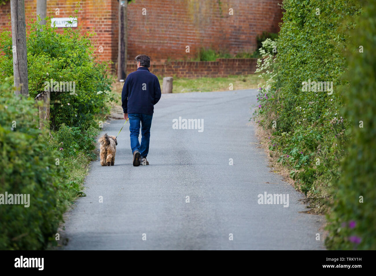 Man walking dog country lane hi-res stock photography and images - Alamy