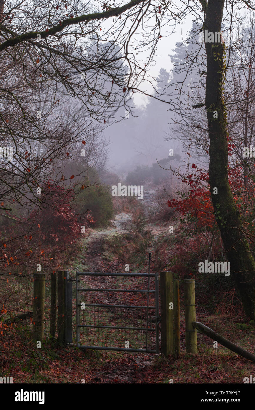 Blackdown hills somerset hi-res stock photography and images - Alamy